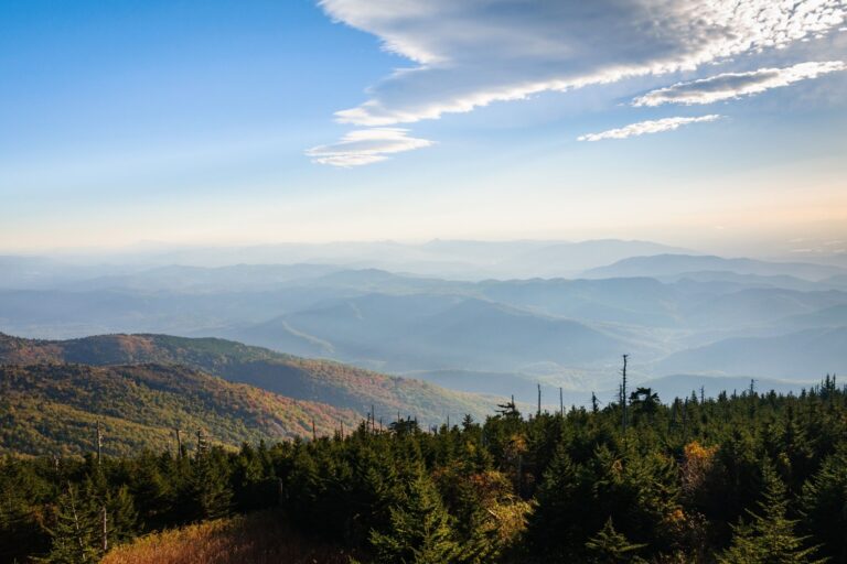 7 Best State Parks in North Carolina to Visit - Lost In The Carolinas