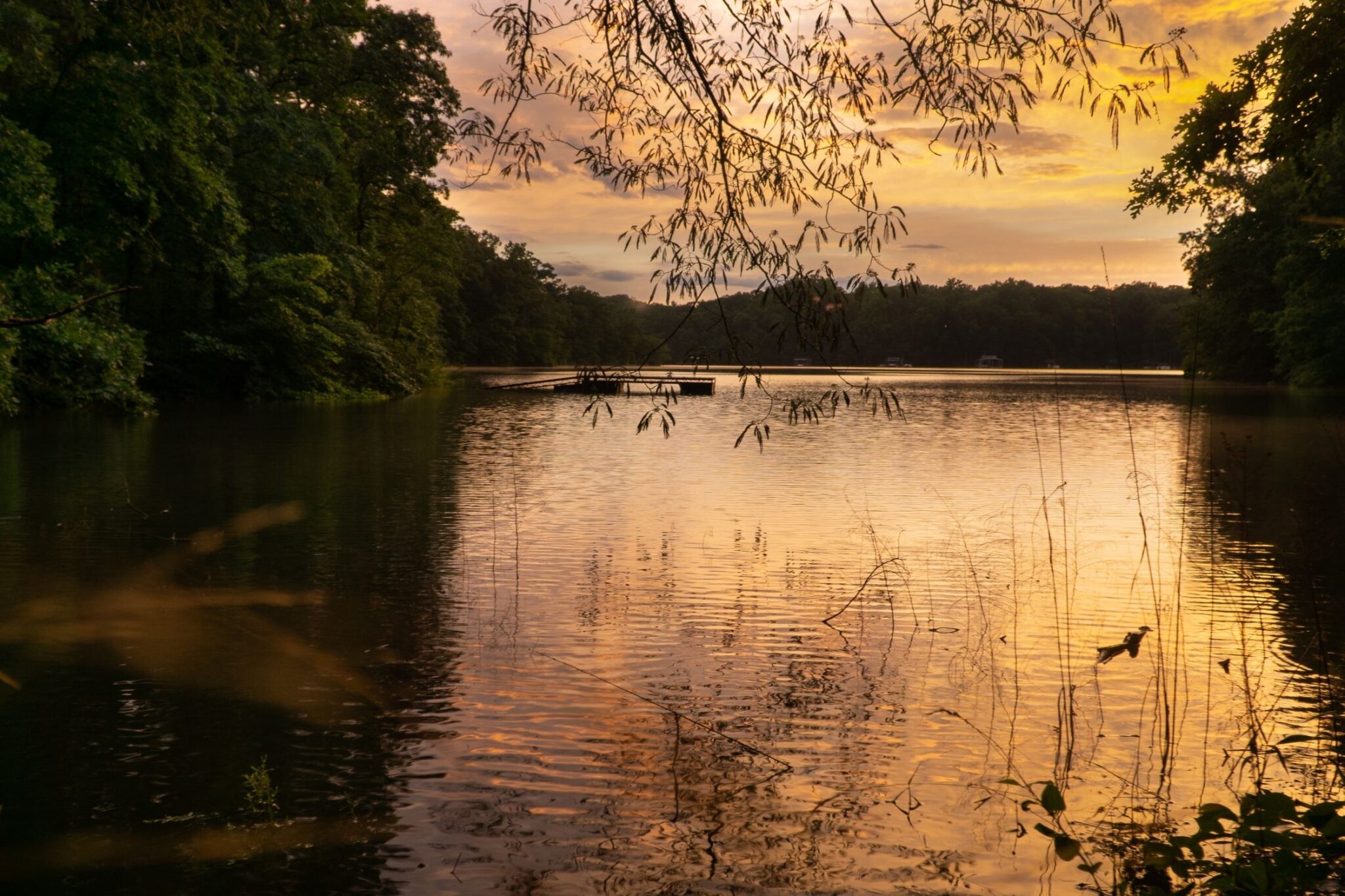 20 BEST Lakes in South Carolina - Lost In The Carolinas