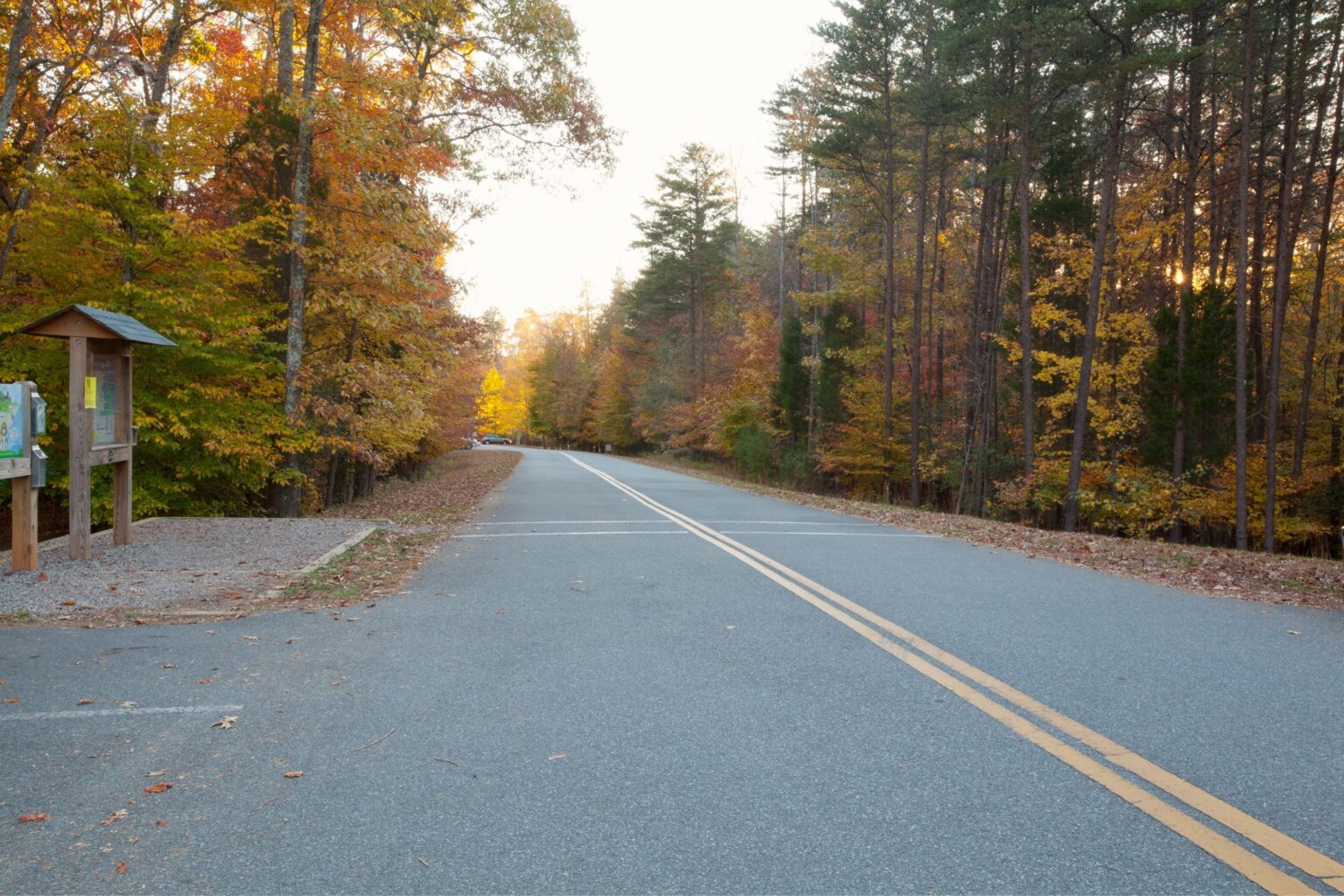 7 Best State Parks in North Carolina to Visit - Lost In The Carolinas