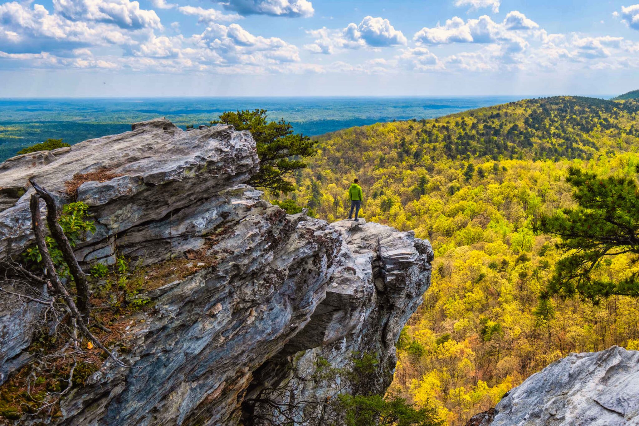20 BEST Things To Do In Greensboro, North Carolina - Lost In The Carolinas