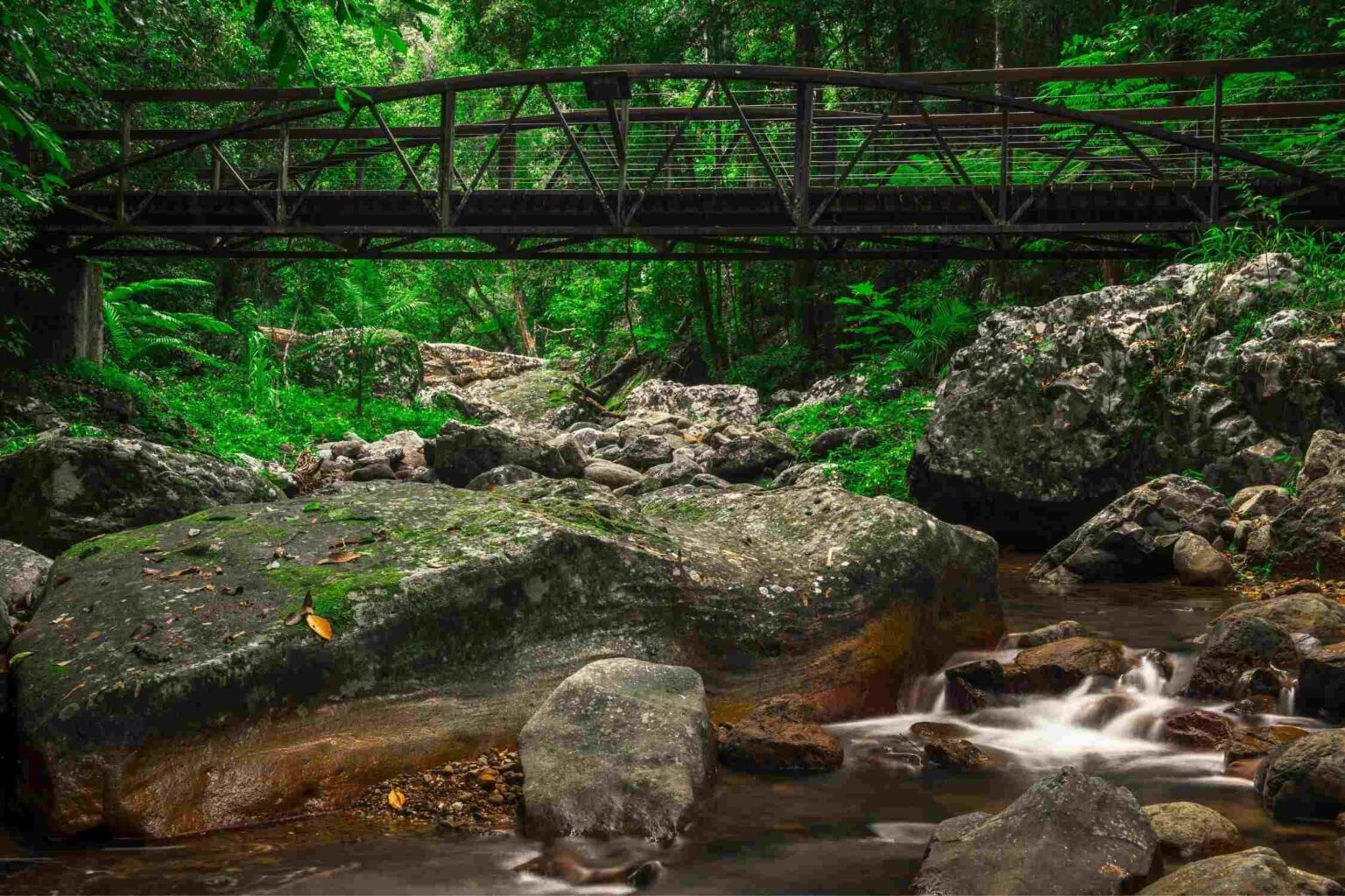 17 FUN Things to Do in Florence, South Carolina - Lost In The Carolinas