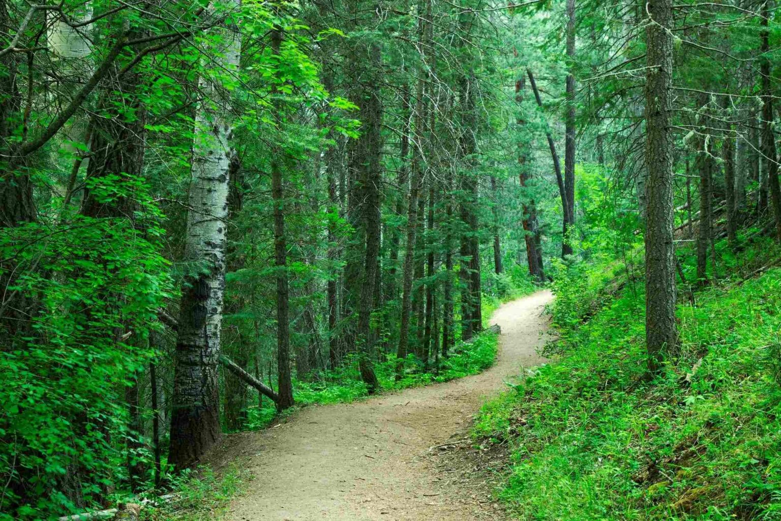 20 Places To Visit Near Raleigh (BEST Day Trips from Raleigh) - Lost In ...