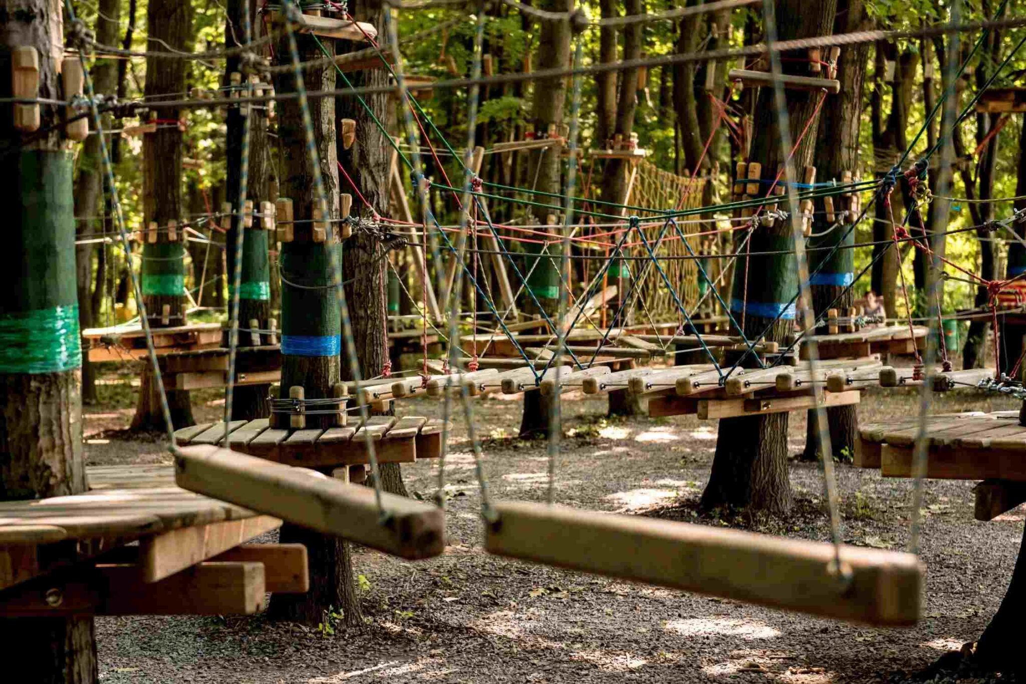 40 Fun Things to Do in Charleston, South Carolina - Lost In The Carolinas