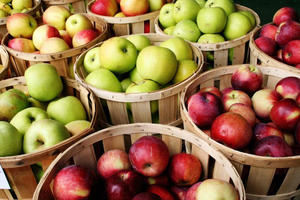 20 BEST Apple Orchards in North Carolina (NC Apple Picking) - Lost In ...