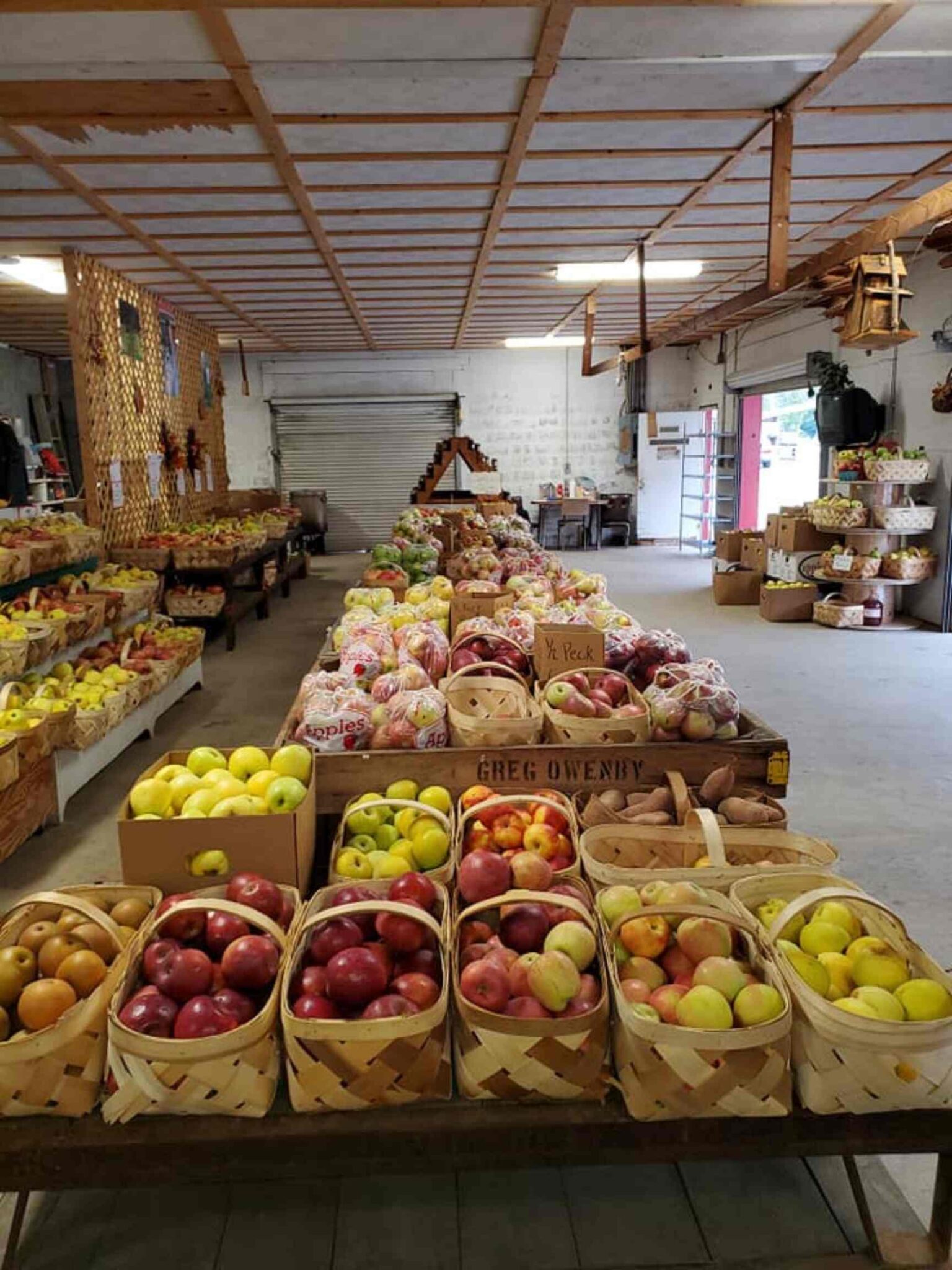 20 BEST Apple Orchards in North Carolina (NC Apple Picking) - Lost In ...