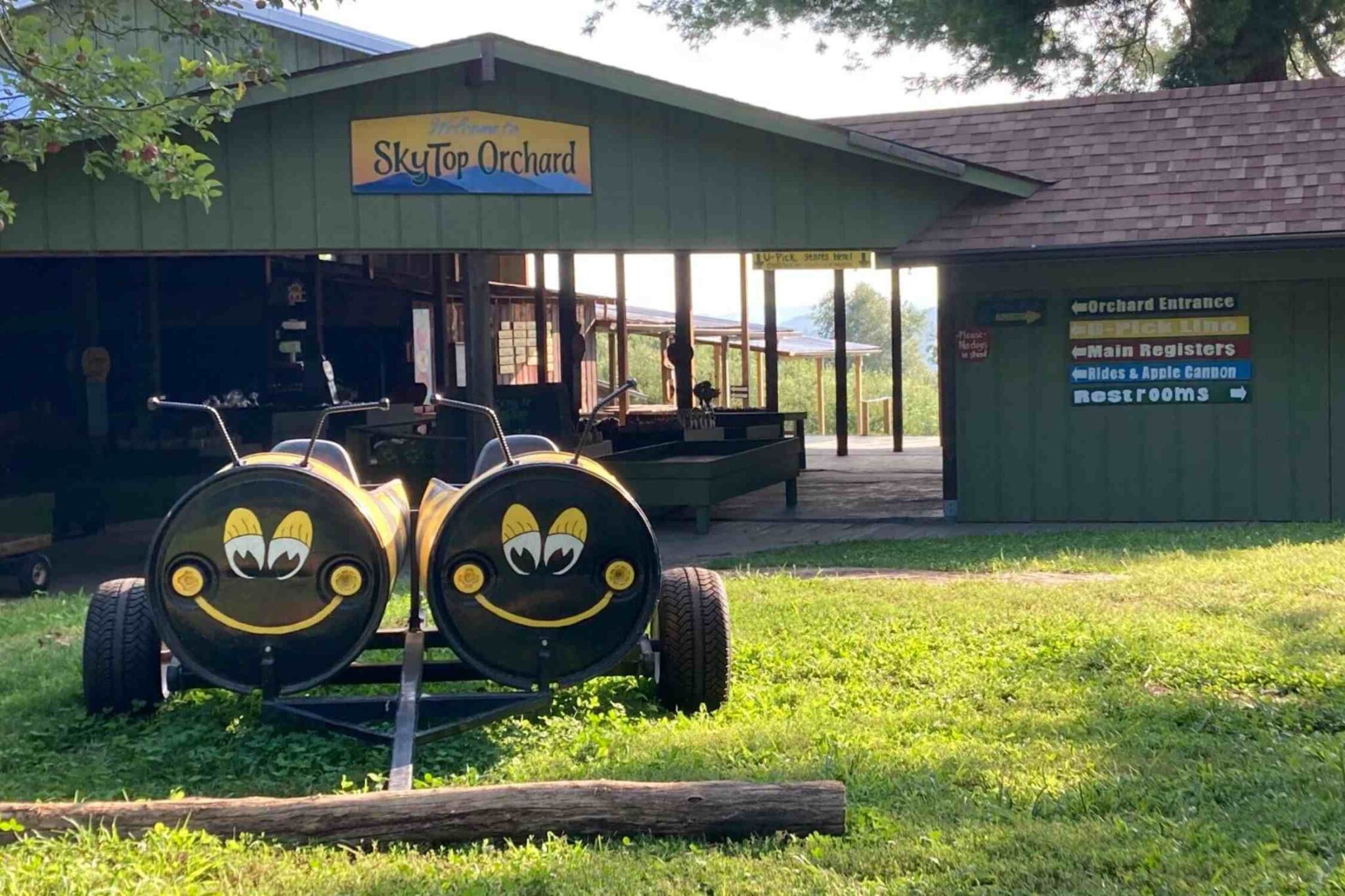 20 BEST Apple Orchards in North Carolina (NC Apple Picking) - Lost In ...