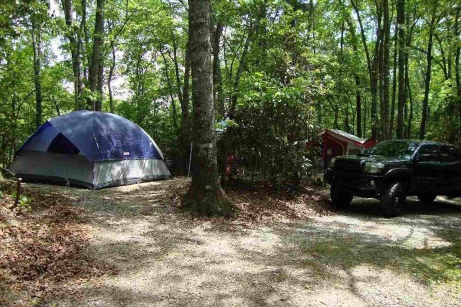 10 BEST Places to Go Camping in North Carolina