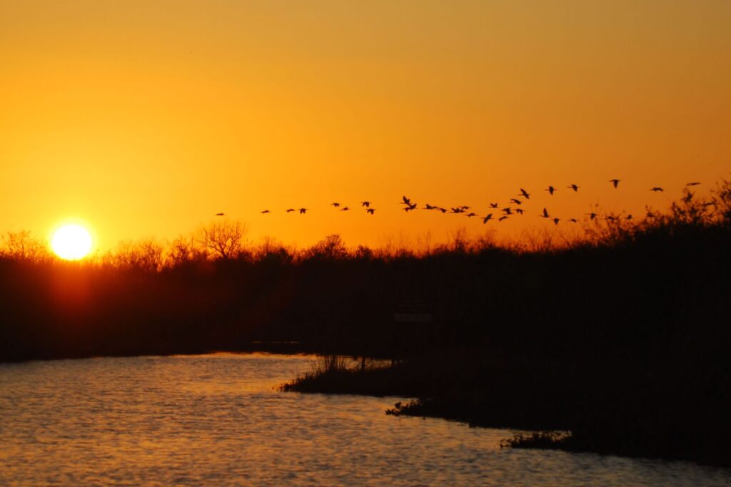 20 STUNNING North Carolina Islands to Visit