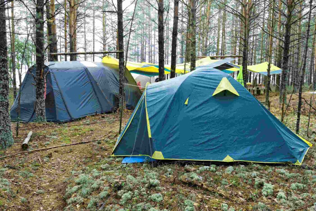10 BEST Places to Go Camping in North Carolina