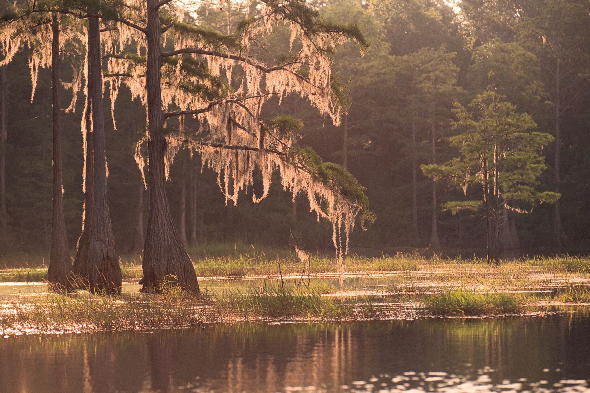 21 BEAUTIFUL South Carolina Islands to Visit