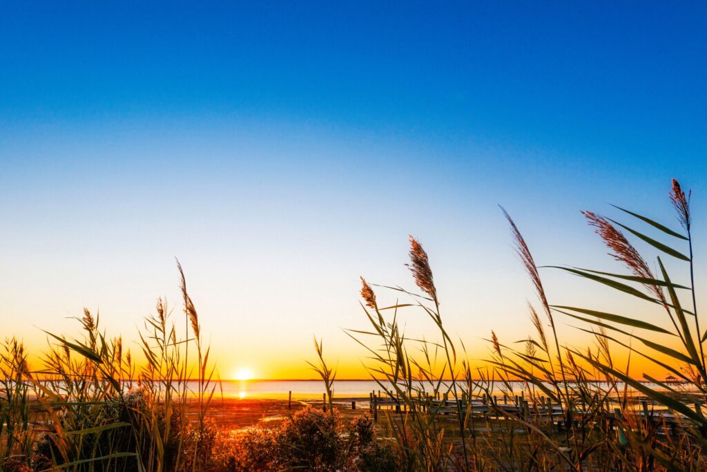 20 STUNNING North Carolina Islands to Visit