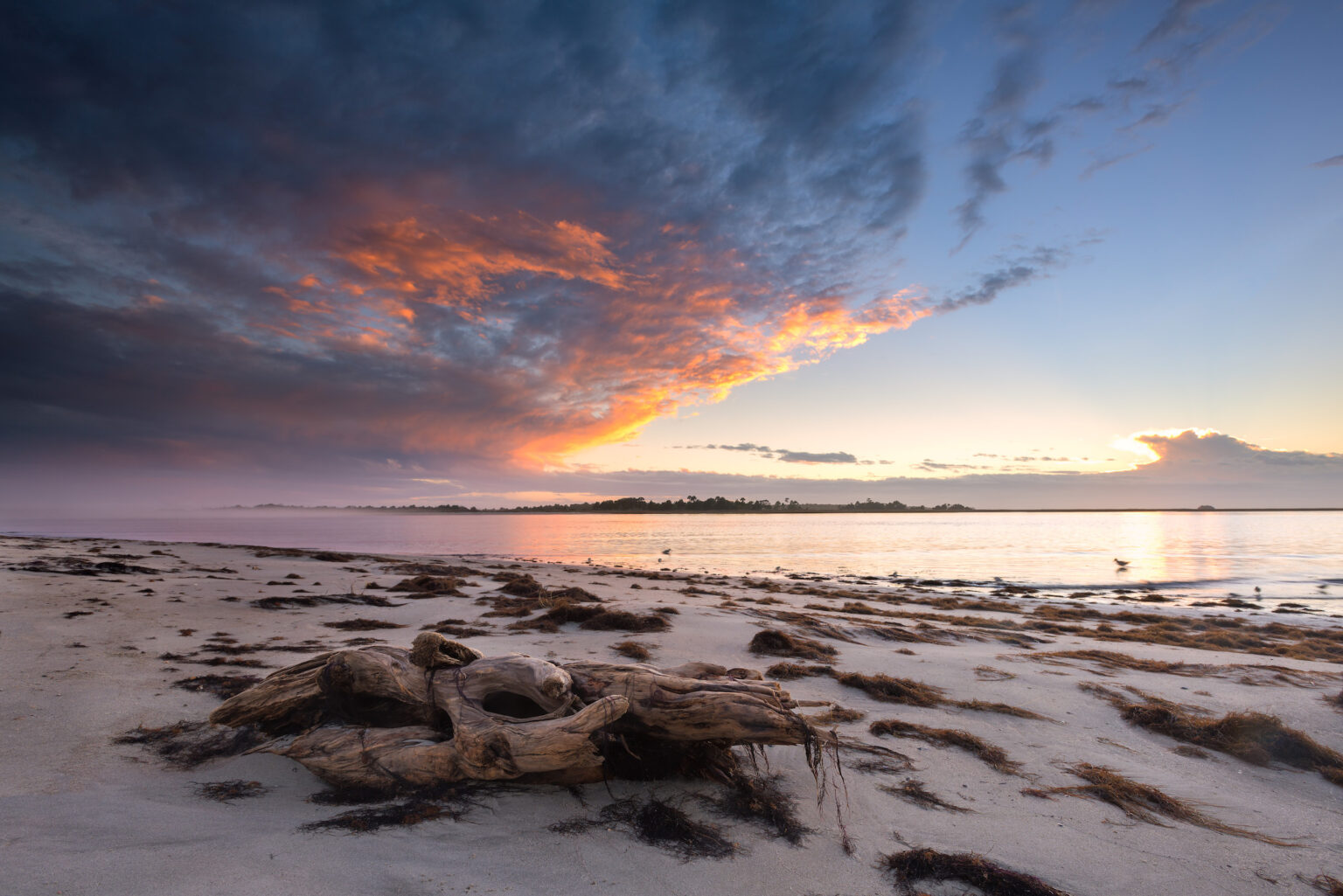 21 BEAUTIFUL South Carolina Islands to Visit