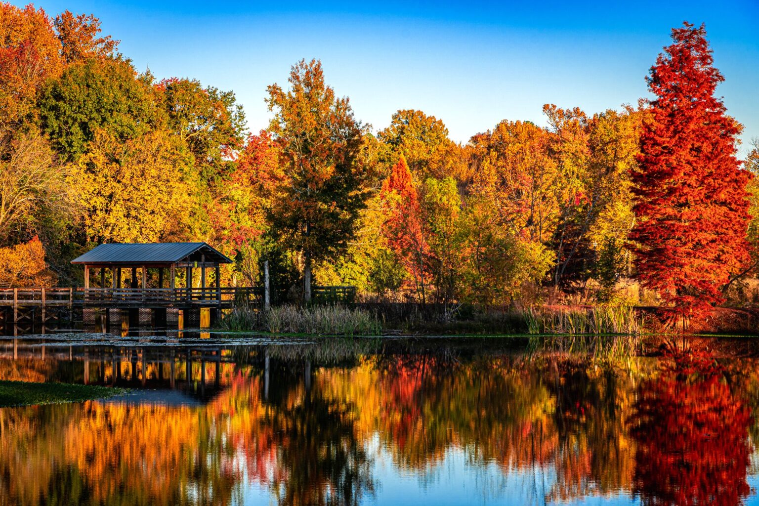 20 Best Restaurants in Summerville, SC - Lost In The Carolinas