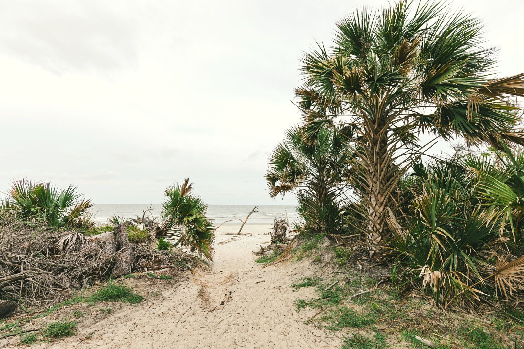 ULTIMATE Guide to Visiting Hunting Island State Park (SC) - Lost In The ...