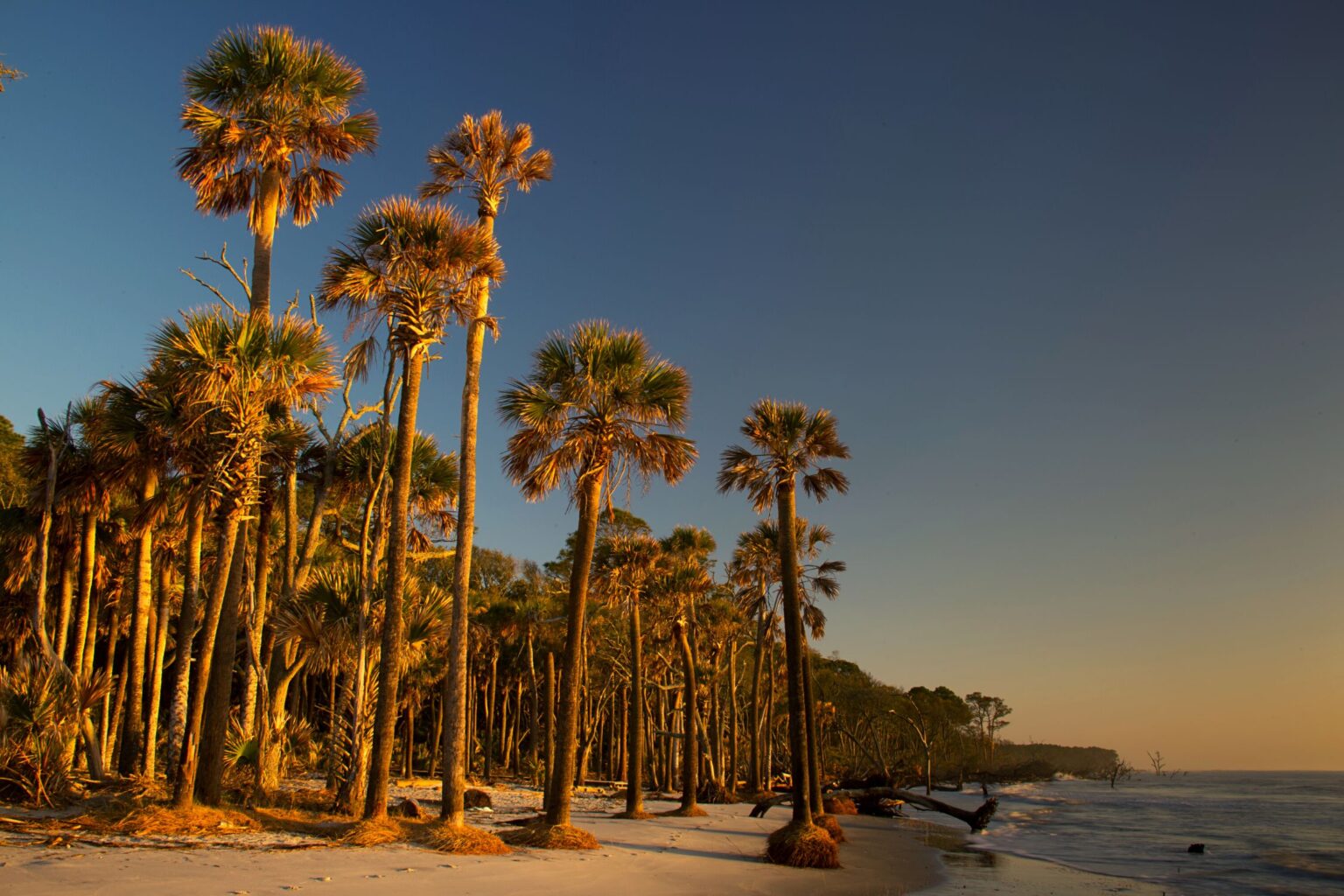 20 BEAUTIFUL South Carolina Islands to Visit