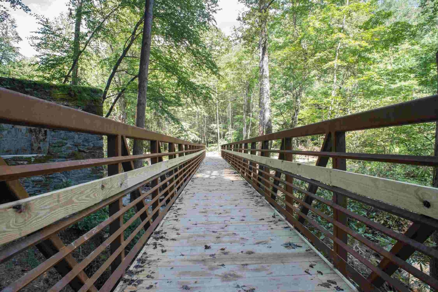19 BEST Things To Do In Fort Mill, SC - Lost In The Carolinas