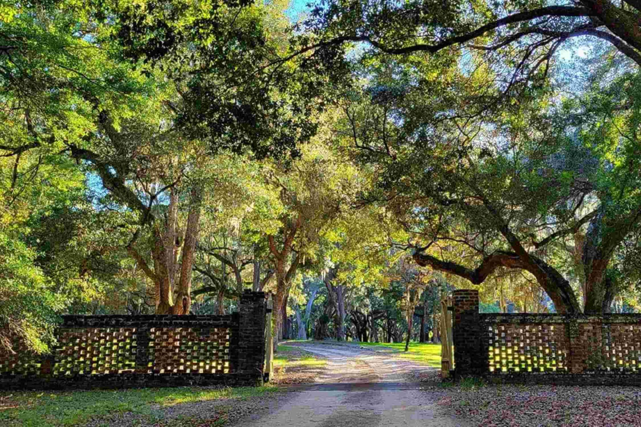 20 BEST Things To Do In Georgetown, SC - Lost In The Carolinas
