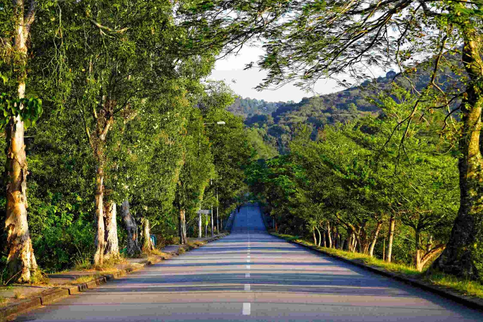 25 BEST Things to Do in Wake Forest (NC) - Lost In The Carolinas