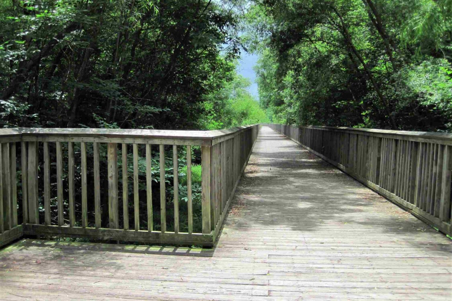 20 BEST Hikes Near Charlotte - Lost In The Carolinas