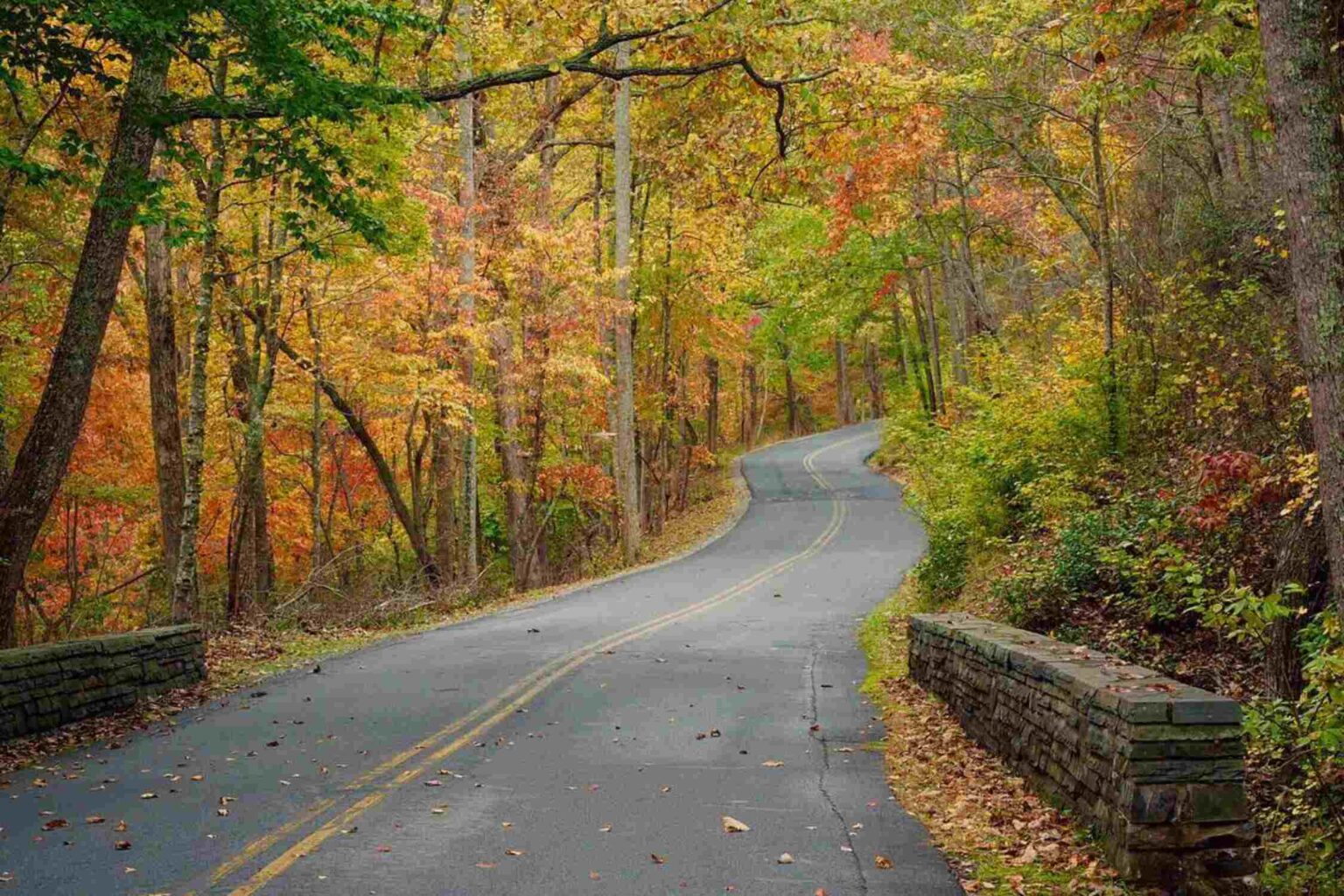 20 BEST Hikes Near Charlotte - Lost In The Carolinas