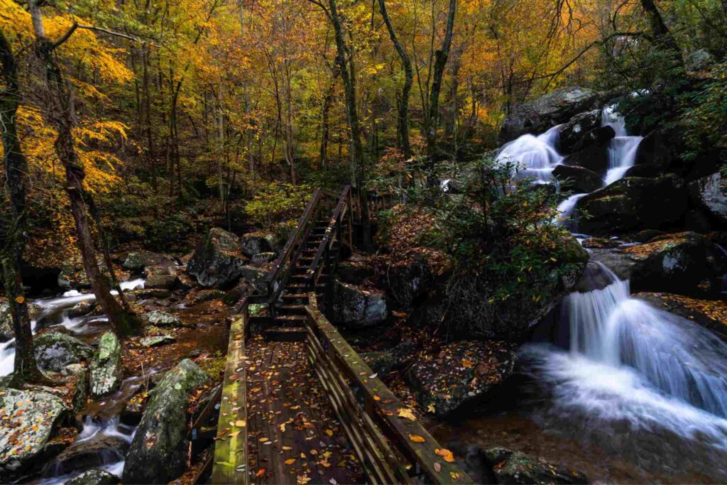 20 BEST Hikes Near Charlotte - Lost In The Carolinas